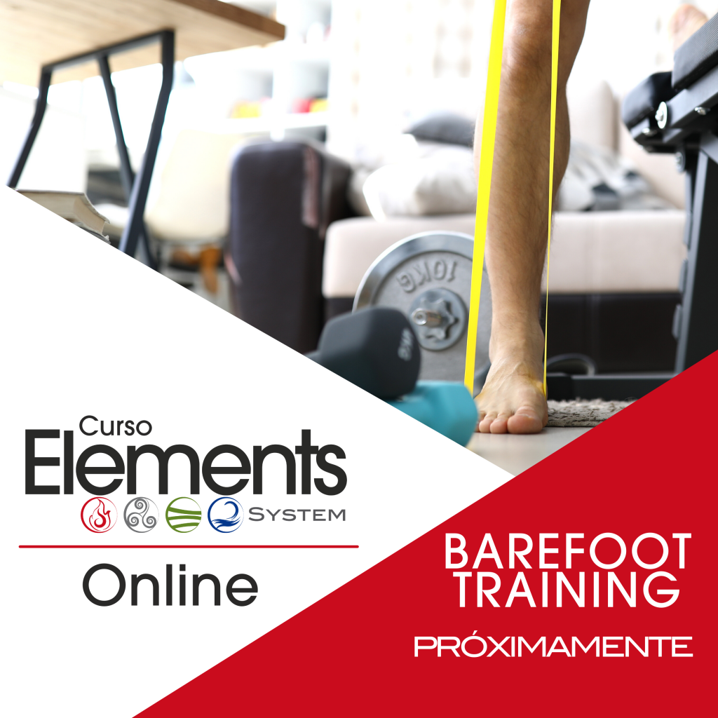 Curso Barefoot Training - Elements System