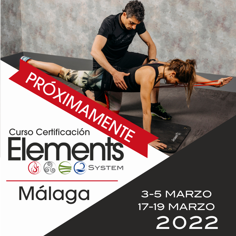 CURSO CERTIFICACIÓN ELEMENTS SYSTEM - MÁLAGA - Elements System
