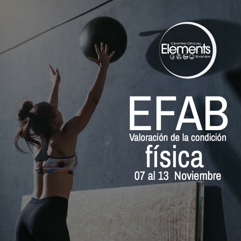 SEMANA VALORACIÓN EFAB CENTROS OFICIALES - Elements System