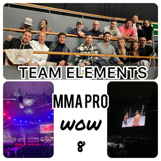 ELEMENTS CON LA MMA PROFESIONAL - Elements System