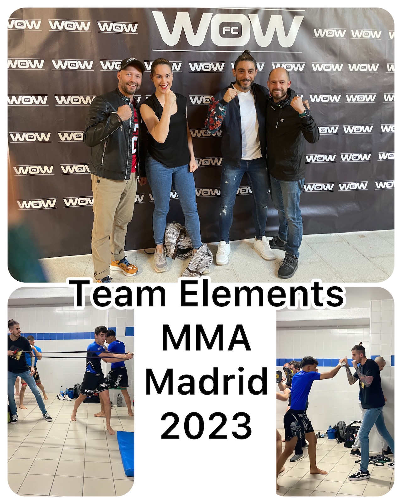 ELEMENTS EN LA MMA DE MADRID - Elements System