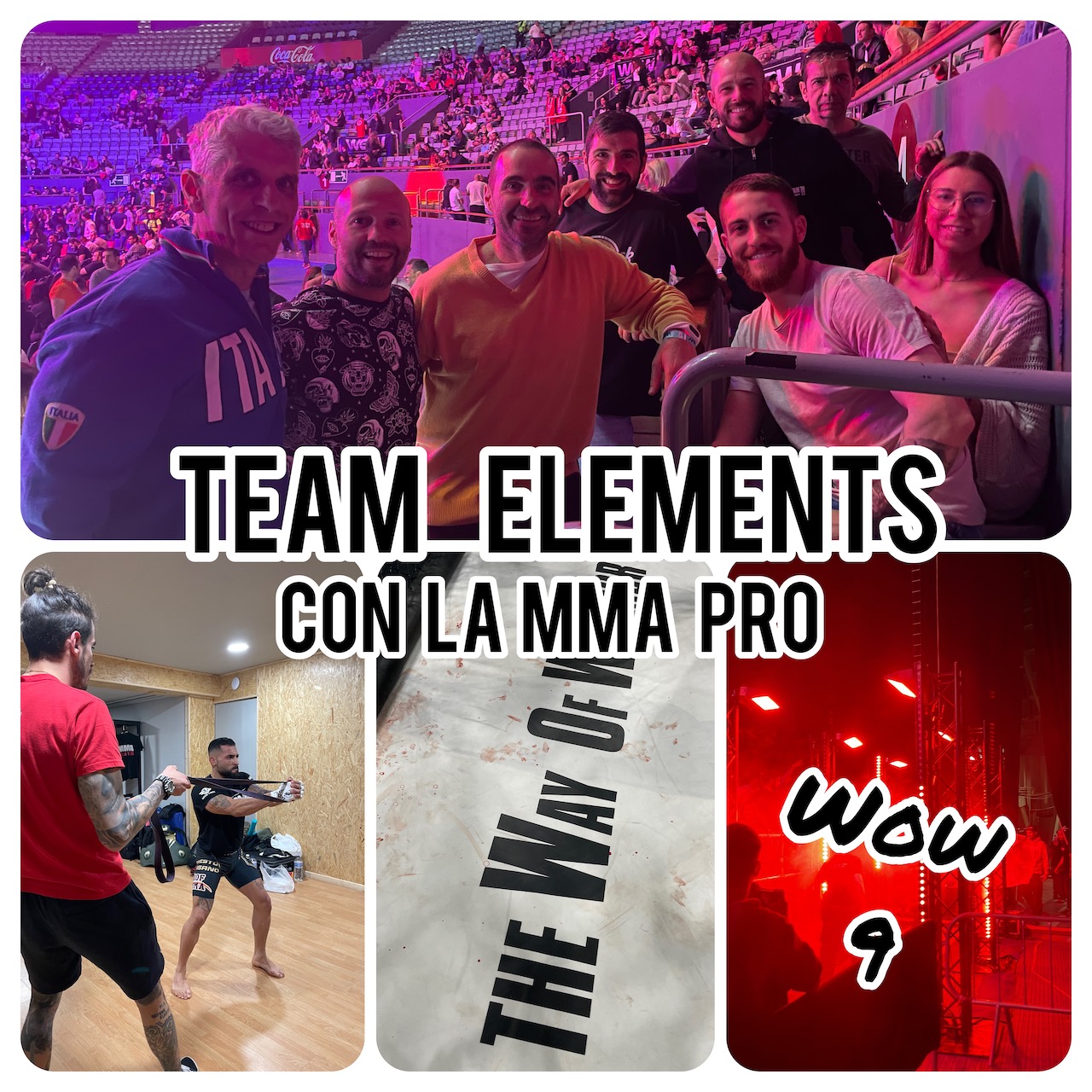 ELEMENTS CON LA MMA PROFESIONAL - Elements System