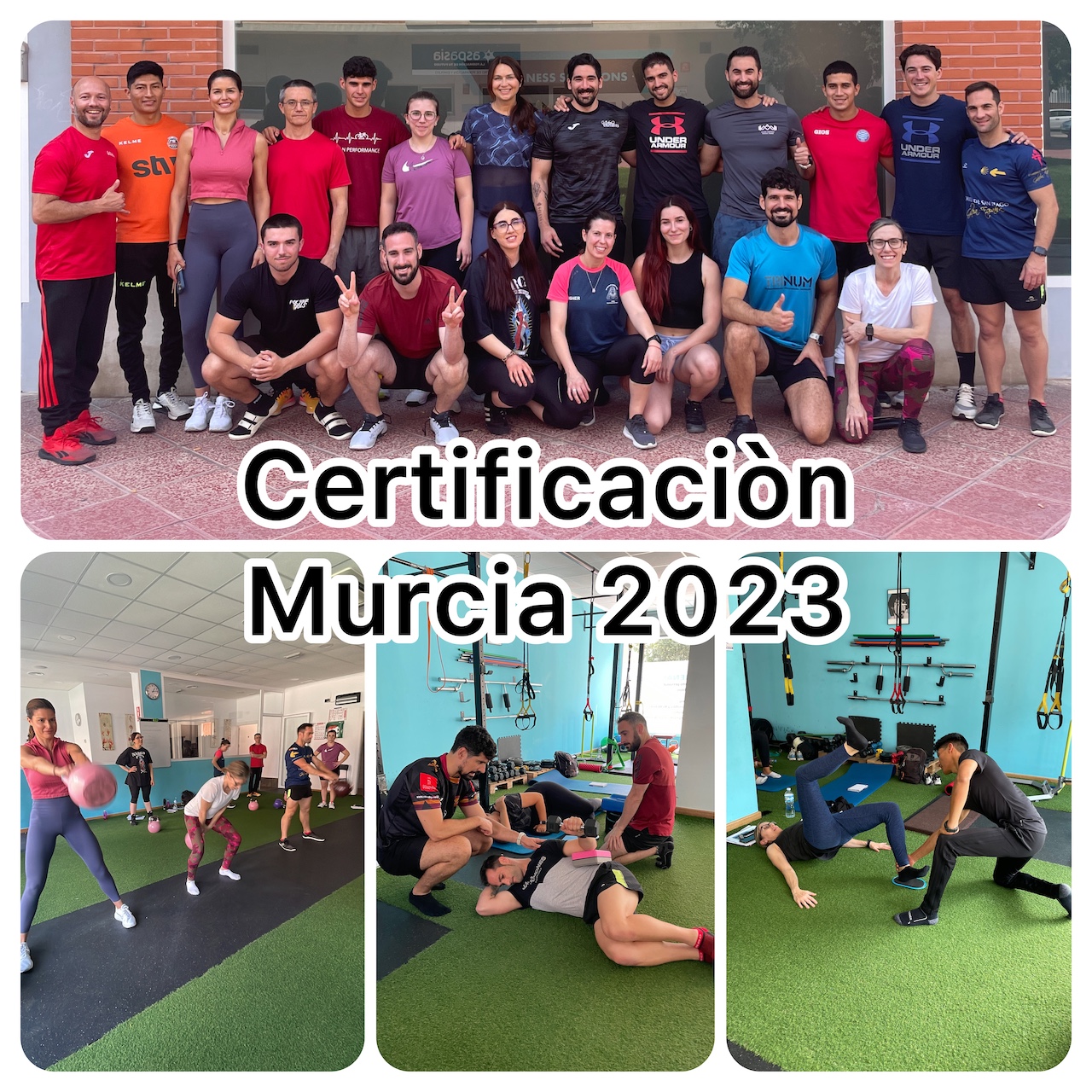 CURSO CERTIFICACIÓN ELEMENTS MURCIA - Elements System