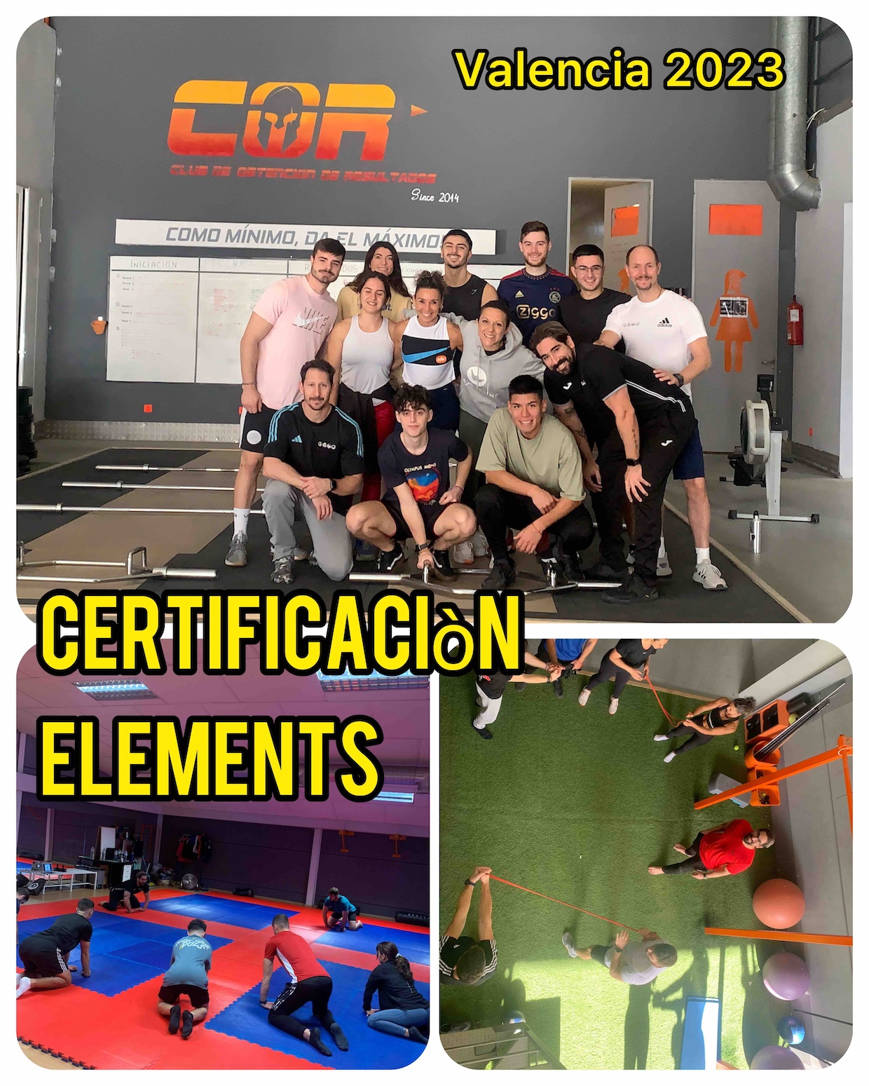 CURSO CERTIFICACIÓN ENTRENAMIENTO - Elements System