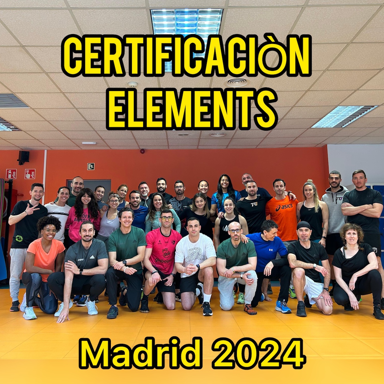 CURSO ENTRENAMIENTO ELEMENTS MADRID - Elements System