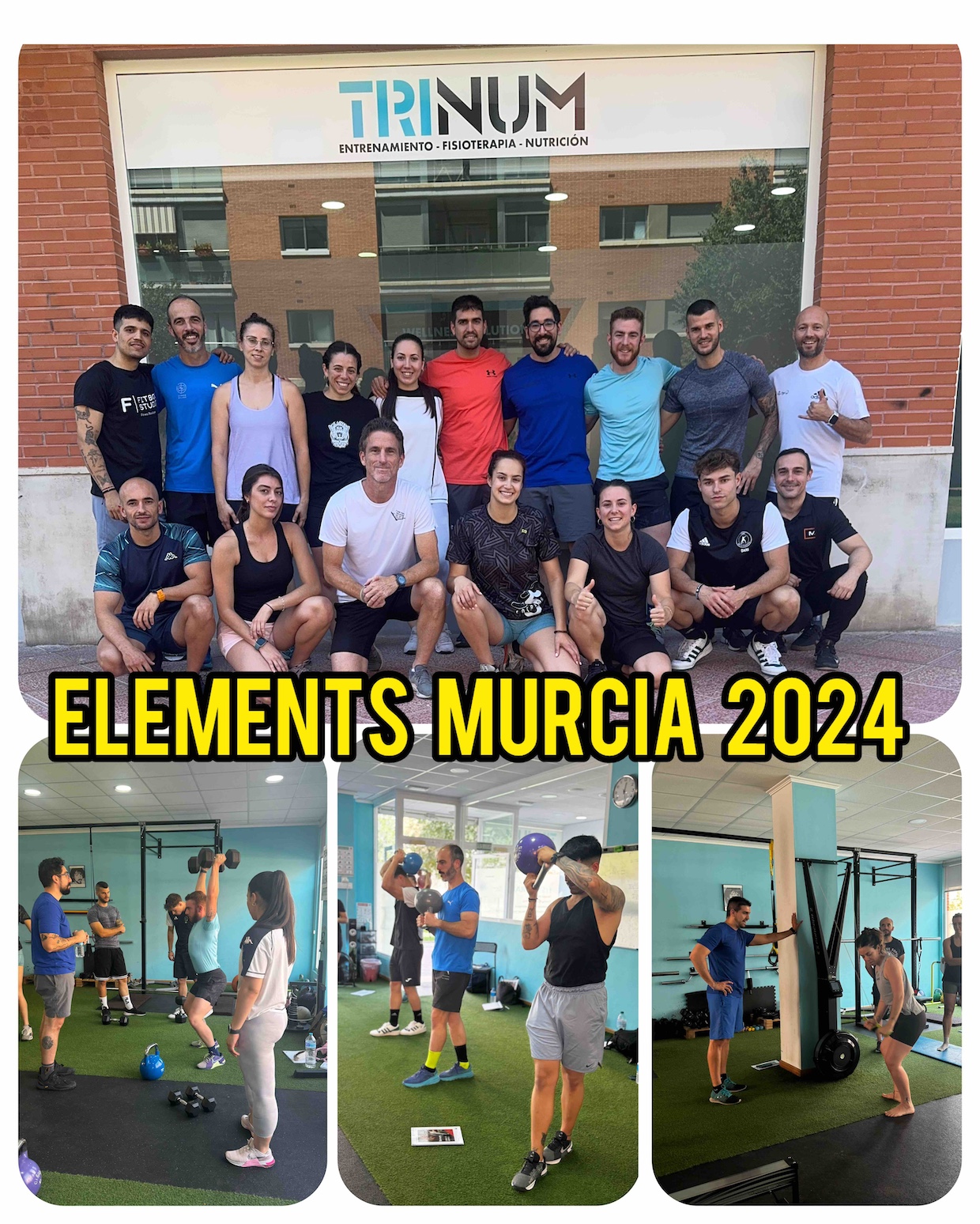 CURSO ENTRENAMIENTO MURCIA - Elements System