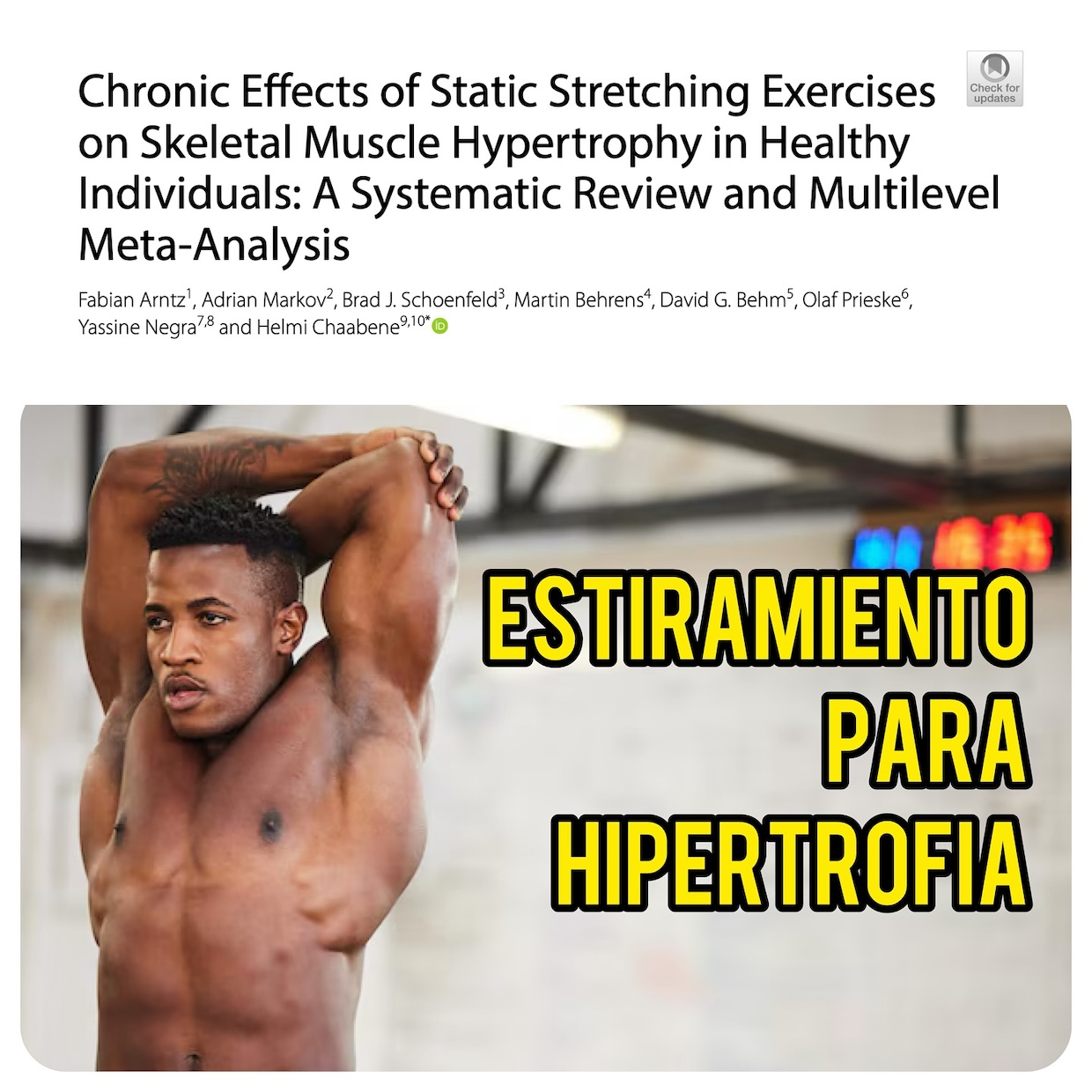Estiramiento e Hipetrofia: ¿pueden los estiramientos incrementar la ...