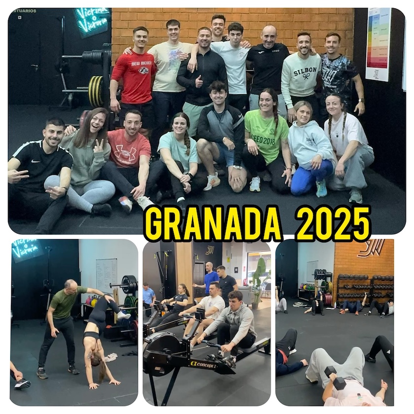 CURSO ELEMENTS GRANADA 2025 - Elements System