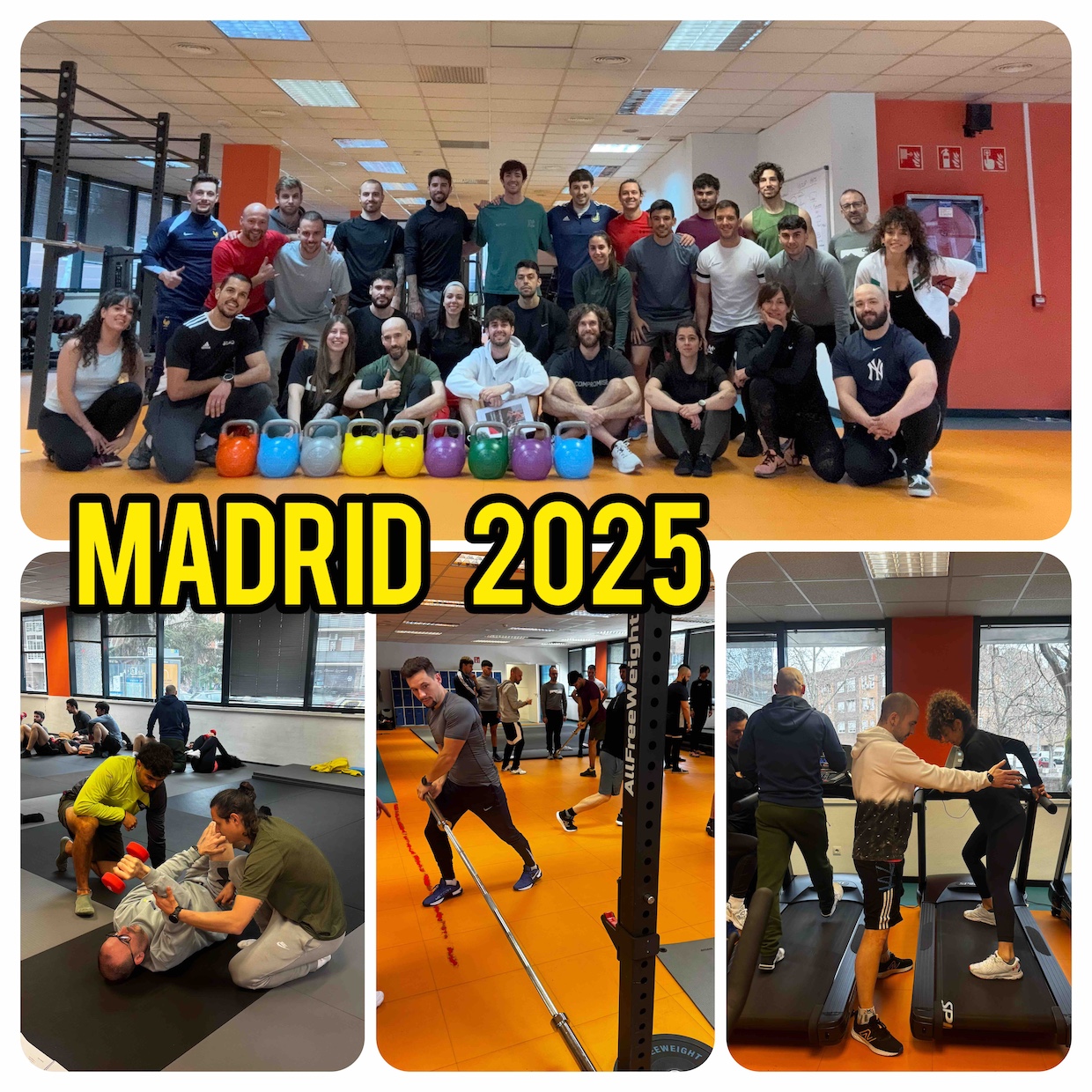 CURSO ENTRENAMIENTO MADRID - Elements System